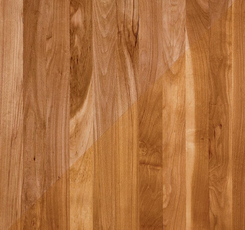 Species Specs: Beech | Hardwood Floors Magazine