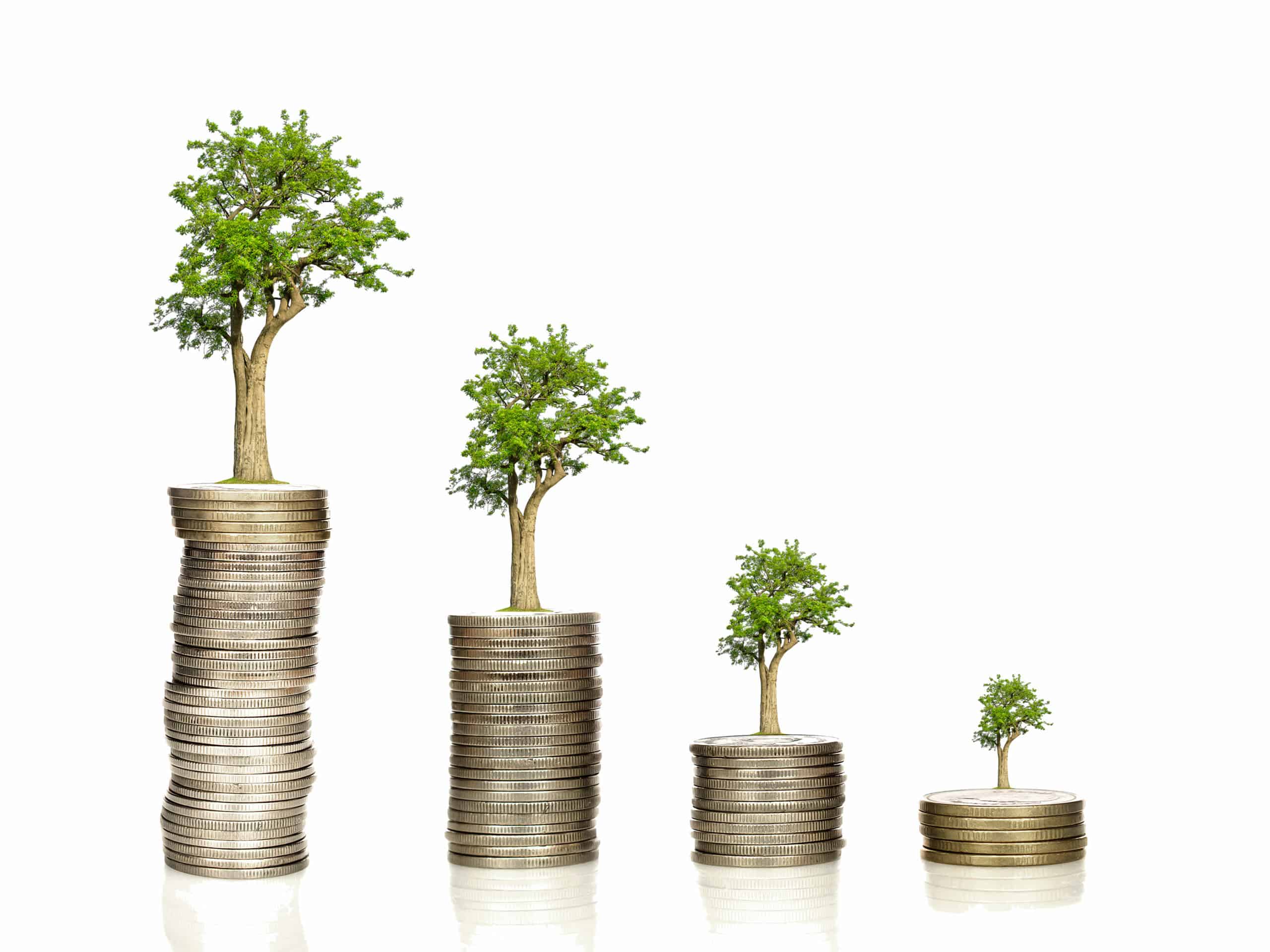 Profits vs. Profitability: Why Profit Margins are Important - Hardwood ...